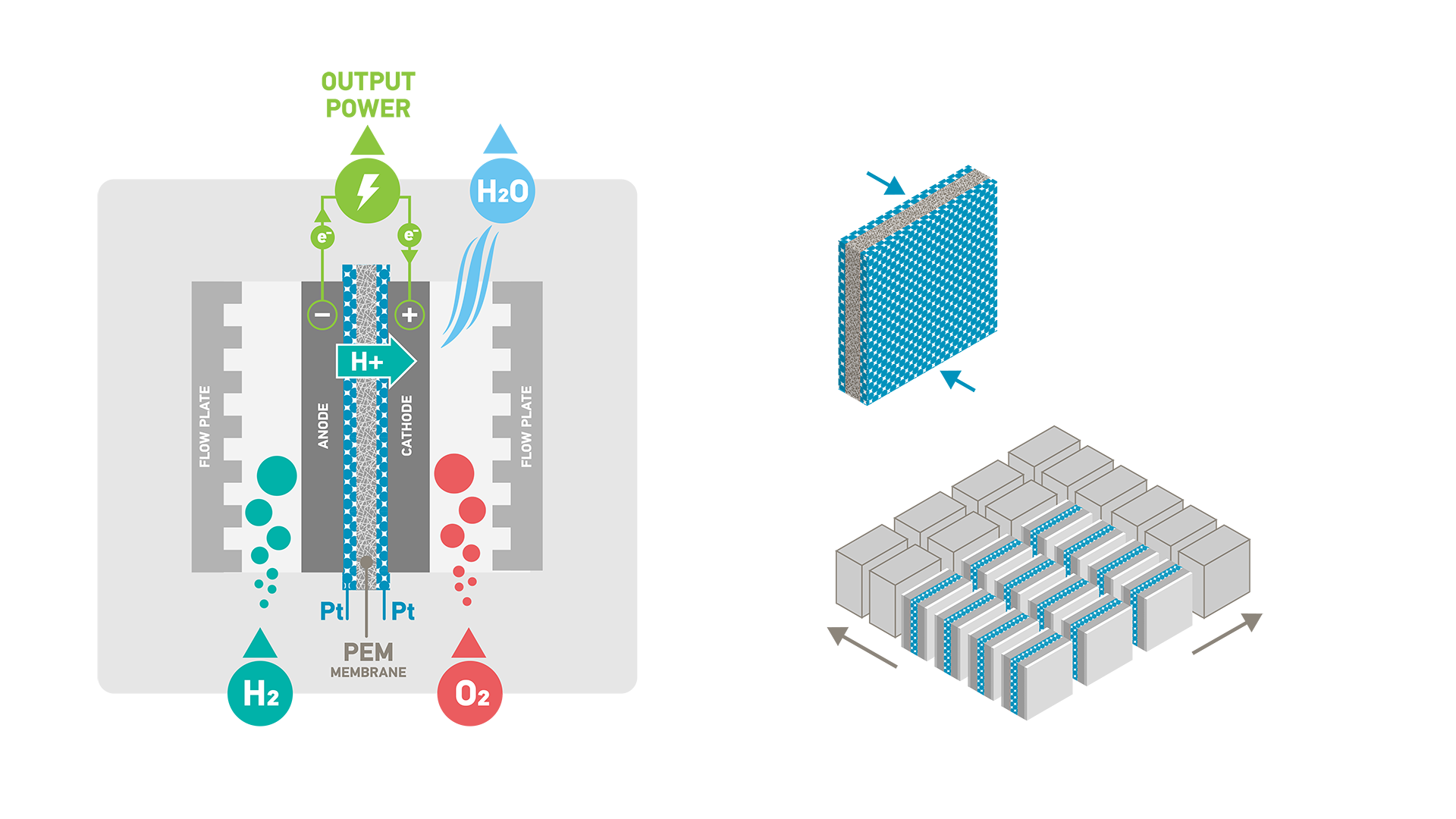Platinum Catalyst Fuel Cell